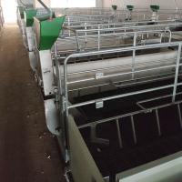 China Pigsty Equipment 2.5mm Thickness Sow Farrowing Crate for sale