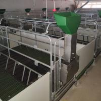 China Pigsty Equipment 2.5mm Thickness Sow Farrowing Crate for sale