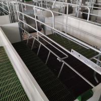 China ISO9001 Raised Farrowing Crate For Pigs With Nipple Drinker for sale