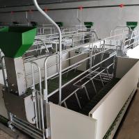 China Automatic Raising Housing And Equipment For Swine Production CE SGS for sale