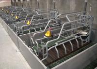 China BMC Piglets Floor Sow Farrowing Crate Farrowing Stall CE SGS for sale