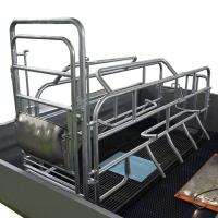China ISO9001 Raised Farrowing Crate For Pigs With Nipple Drinker for sale