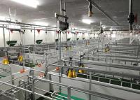 China PVC Board Gestating Pig Farrowing Pen 2.5mm Thickness With BMC Slat for sale