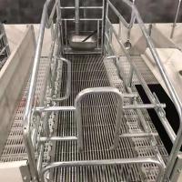 China Galvanized swine Sow Farrowing Crate 2.4*1.8m width adjustable for sale
