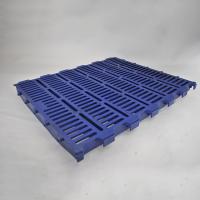 China Blue Green 600*600mm PP Plastic Slatted Floor For Pigs Chicken for sale