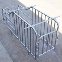China Galvanized Steel Sow Hog Gestation Crates 2.5mm Thickness for sale