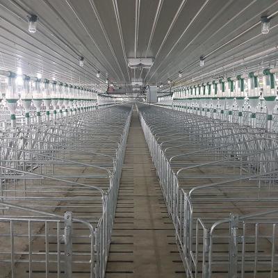 China Automatic Disc Chain / Auger Feed Conveying System Pig Farming Equipment for sale