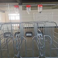 China OEM ODM Piggery Farm Equipment Gestation Pens For Sows Rear Door Design for sale