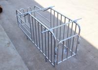 China SS304 Piggery Pregnancy Sow Gestation Stalls Swine Farrowing Crates for sale
