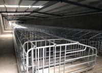 China SS304 Piggery Pregnancy Sow Gestation Stalls Swine Farrowing Crates for sale
