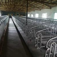 China 1inch Pipe OD Swine Farrowing Pen Farm Equipment 2.2*0.65m for sale
