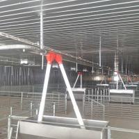 China Automatic Raising Housing And Equipment For Swine Production CE SGS for sale
