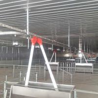 China 200 Sows Turn Key Swine Piggery Tools And Equipments Auger Conveying for sale