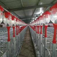 China Automatic Raising Housing And Equipment For Swine Production CE SGS for sale