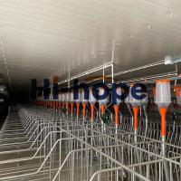 China 100 Sow 2.4*0.6m pen Piggery Farm Equipment for sale