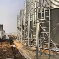 China China Turn Key Project Swine Farm Complete Equipment For Pigs for sale