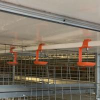 China 8 Degree Bottom Layer Chicken Cage Automated Battery Cage System Hi Hope for sale