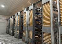 China 8 Degree Bottom Layer Chicken Cage Automated Battery Cage System Hi Hope for sale