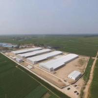 China AZ Plate Broiler Chicken Farm Structure Shed Construction 30 Years Life for sale