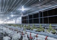 China Broiler Flooring Raising Chicken Farm Equipment 4 Drinker /M for sale