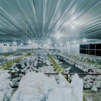 China Galvanized C Z Steel Poultry Farming Structures for sale