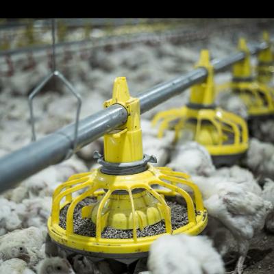 China 1.1kw Automatic Chicken Feeders And Waterers 450kg/H Delivery for sale