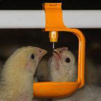 China HI HOPE Chicken Farm Equipment 45cm Dia Pipe for sale