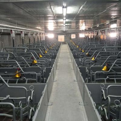 China ISO9001 Raised Farrowing Crate For Pigs With Nipple Drinker for sale