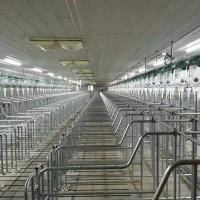 China 2.5mm tube Sow Raising Pig Gestation Crate for sale