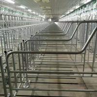China 2.5mm tube Sow Raising Pig Gestation Crate for sale