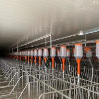China Heat Insulation Poultry Farming Structures OEM ODM Steel Structure Chicken House for sale