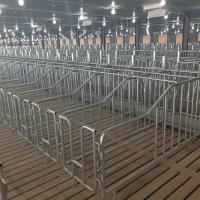 China Disc Chain Conveying Swine Farm Equipment Pig House for sale
