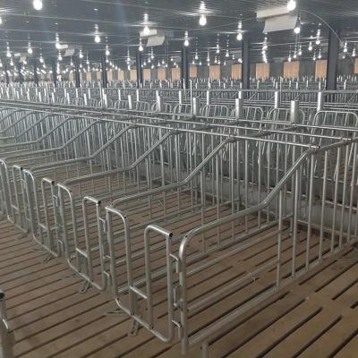 China Disc Chain Conveying Swine Farm Equipment Pig House for sale