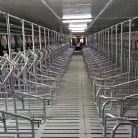 China 1inch Pipe OD Swine Farrowing Pen Farm Equipment 2.2*0.65m for sale