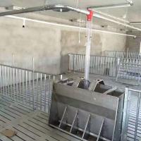 China Disc Chain Conveying Swine Farm Equipment Pig House for sale