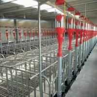 China Pig Raising Piggery Farm Equipment With Steel Structure Building for sale