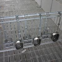 China China Turn Key Project Swine Farm Complete Equipment For Pigs for sale