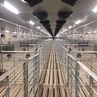 China Pig Raising Piggery Farm Equipment With Steel Structure Building for sale
