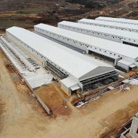 China Square Pipe Steel Poultry Shed Structure Heat Insulation Local Wind Load for sale