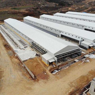 China HI HOPE Farm Designed Prefab Poultry House High Sealing Broiler Shed Construction for sale