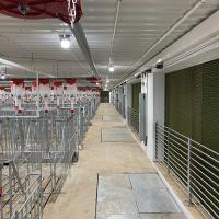 China 2.5mm tube Sow Raising Pig Gestation Crate for sale