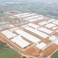 China 100 Sow 2.4*0.6m pen Piggery Farm Equipment for sale