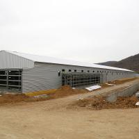 China Light Steel Structure Poultry Farming Structures Poultry House for sale