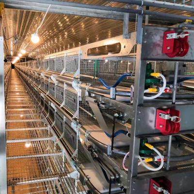 China Poultry Farming Battery Layer Chicken Cages H Type for sale