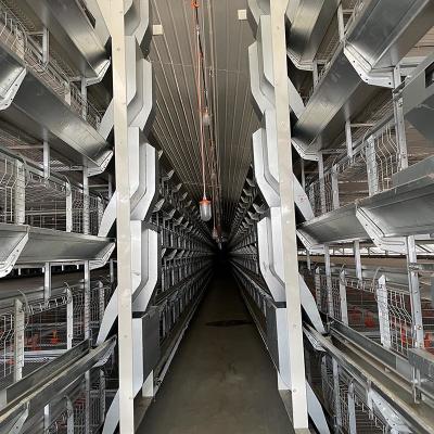 China Automatic Production Egg Chicken Poultry Cage Professional Economical for sale