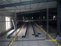 China Poultry Farm Chain Trough Chicken Breeding Equipment 36m/min Conveying for sale