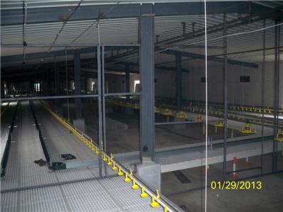 China Automatic Galvanized Chicken Farm Equipment 1.5kgs/M Chain Feeding System for sale