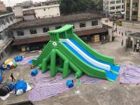 China Multicolor Inflatable Water Slides Bouncer Blow Up Castle Combo for sale