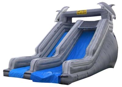 China Double Slide Way Commercial Inflatable Slide Gray PVC Outside for sale
