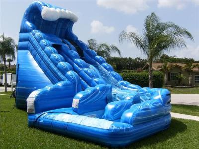 China Blue Huge Inflatable Whale Water Slide Comercial Dual Lane For Kids for sale